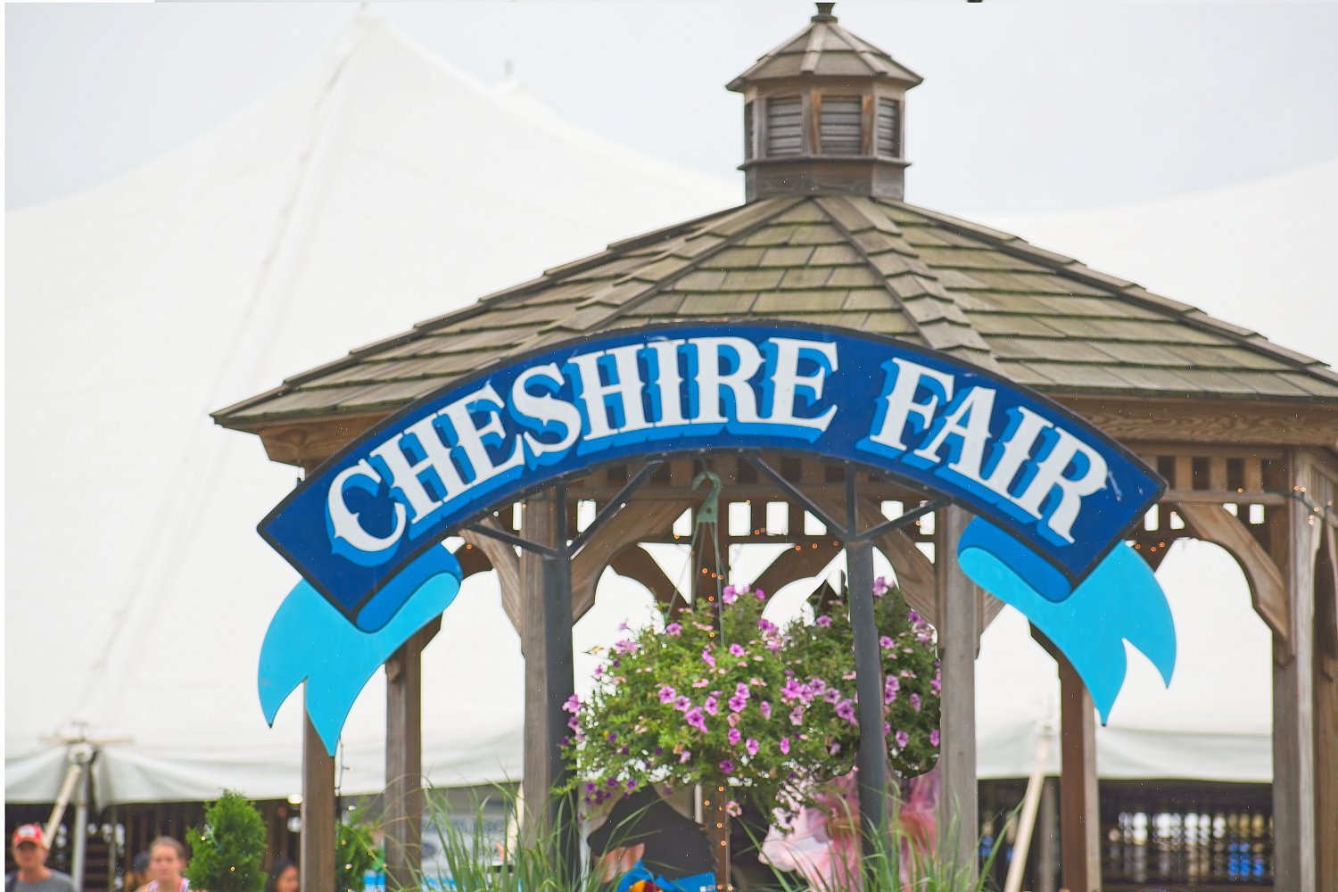 2024 Cheshire Fair Horse Show Photos